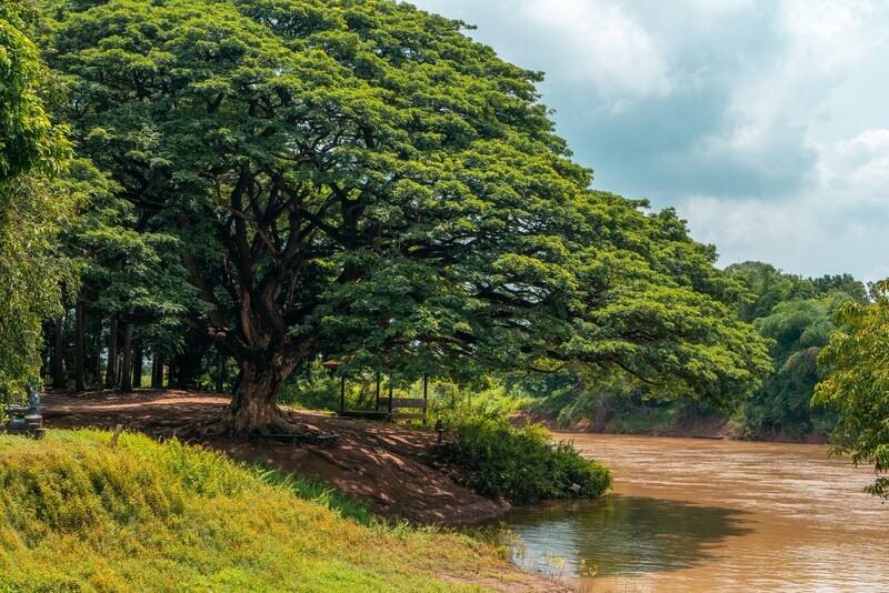 Visiting Maha Sarakham: 9 Amazing Things to Do & More