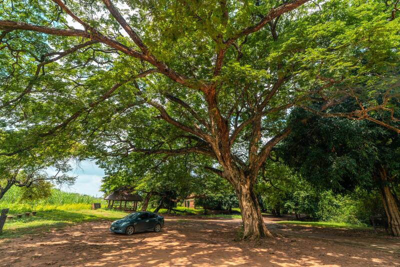 Visiting Maha Sarakham: 9 Amazing Things to Do & More