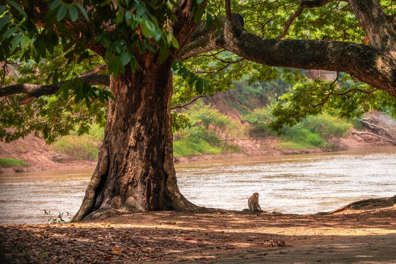 Visiting Maha Sarakham: 9 Amazing Things to Do & More