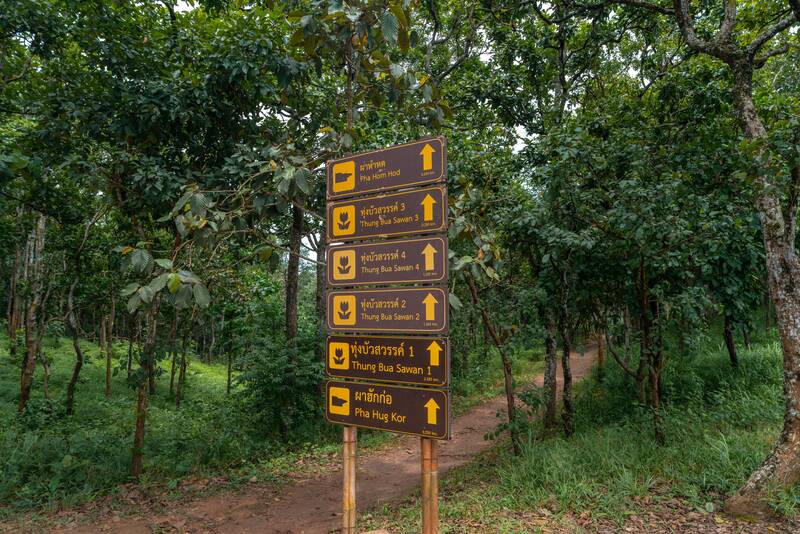 Discover Chaiyaphum: 12 Incredible Things to Do & More
