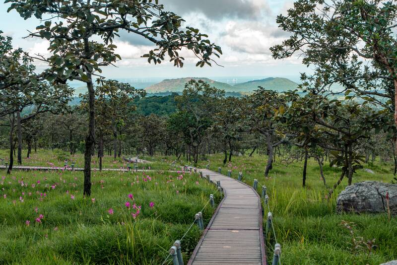 Discover Chaiyaphum: 12 Incredible Things to Do & More